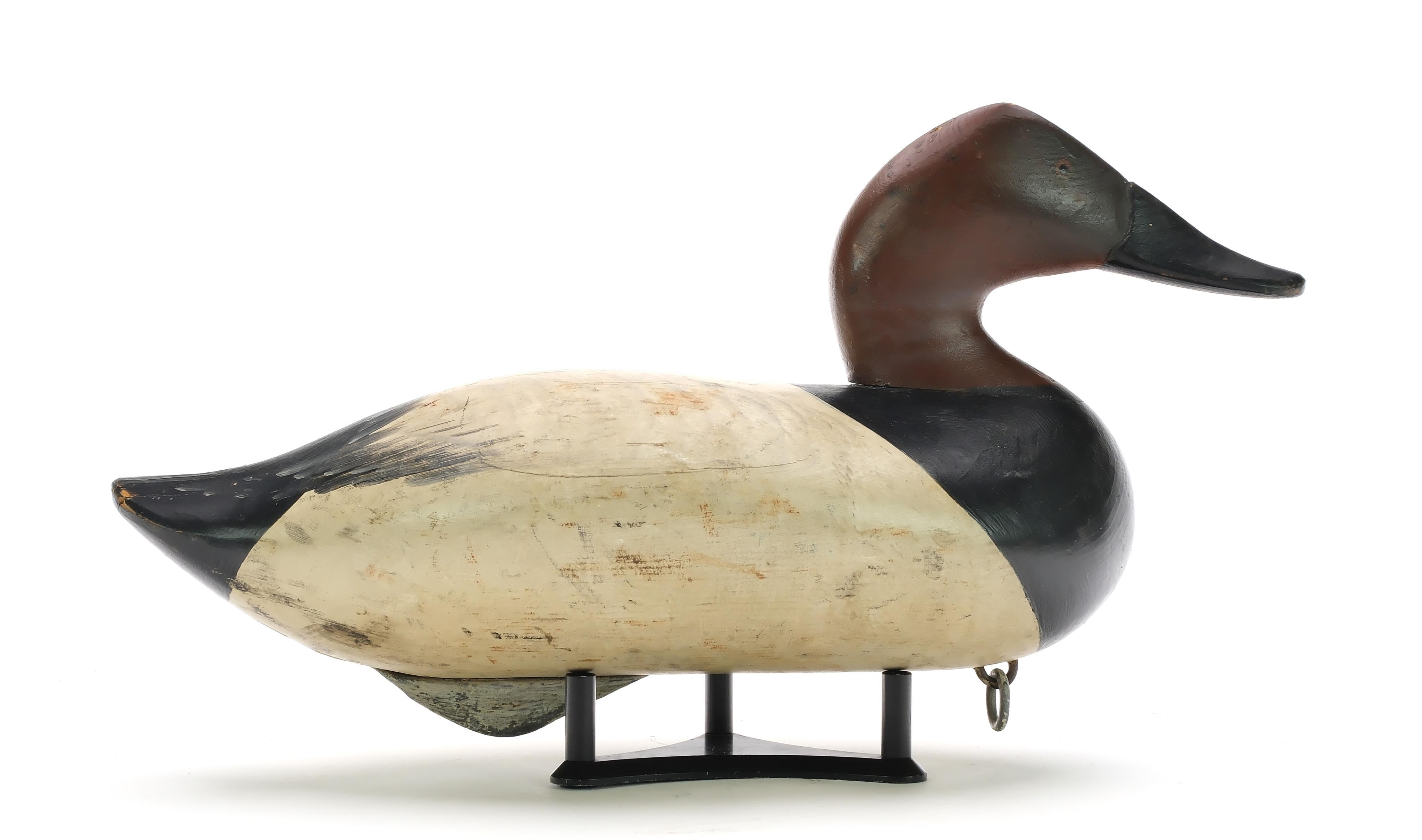 Madison Mitchell | Canvasback | MutualArt