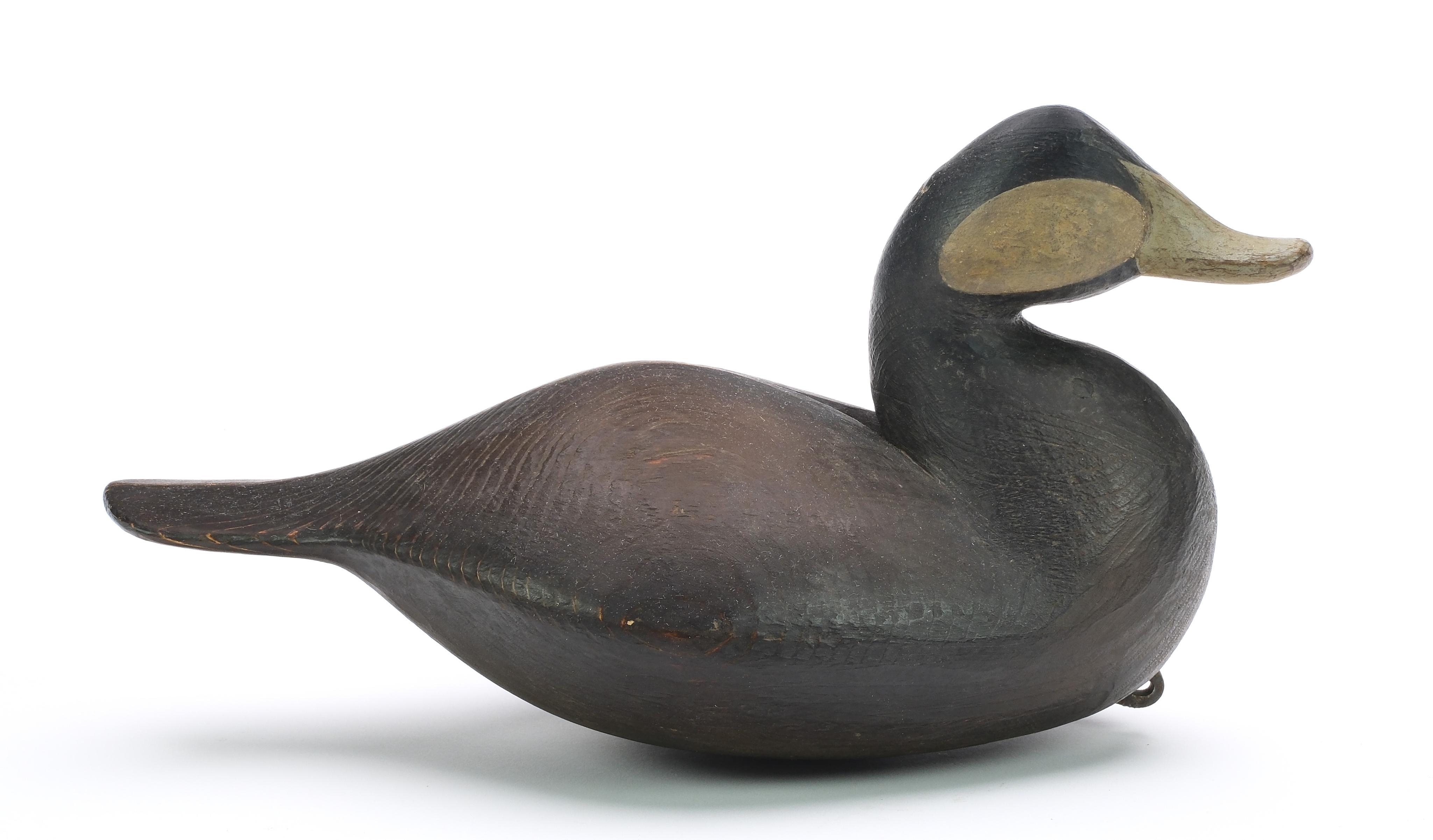 Joshua Brewer | Ruddy duck | MutualArt