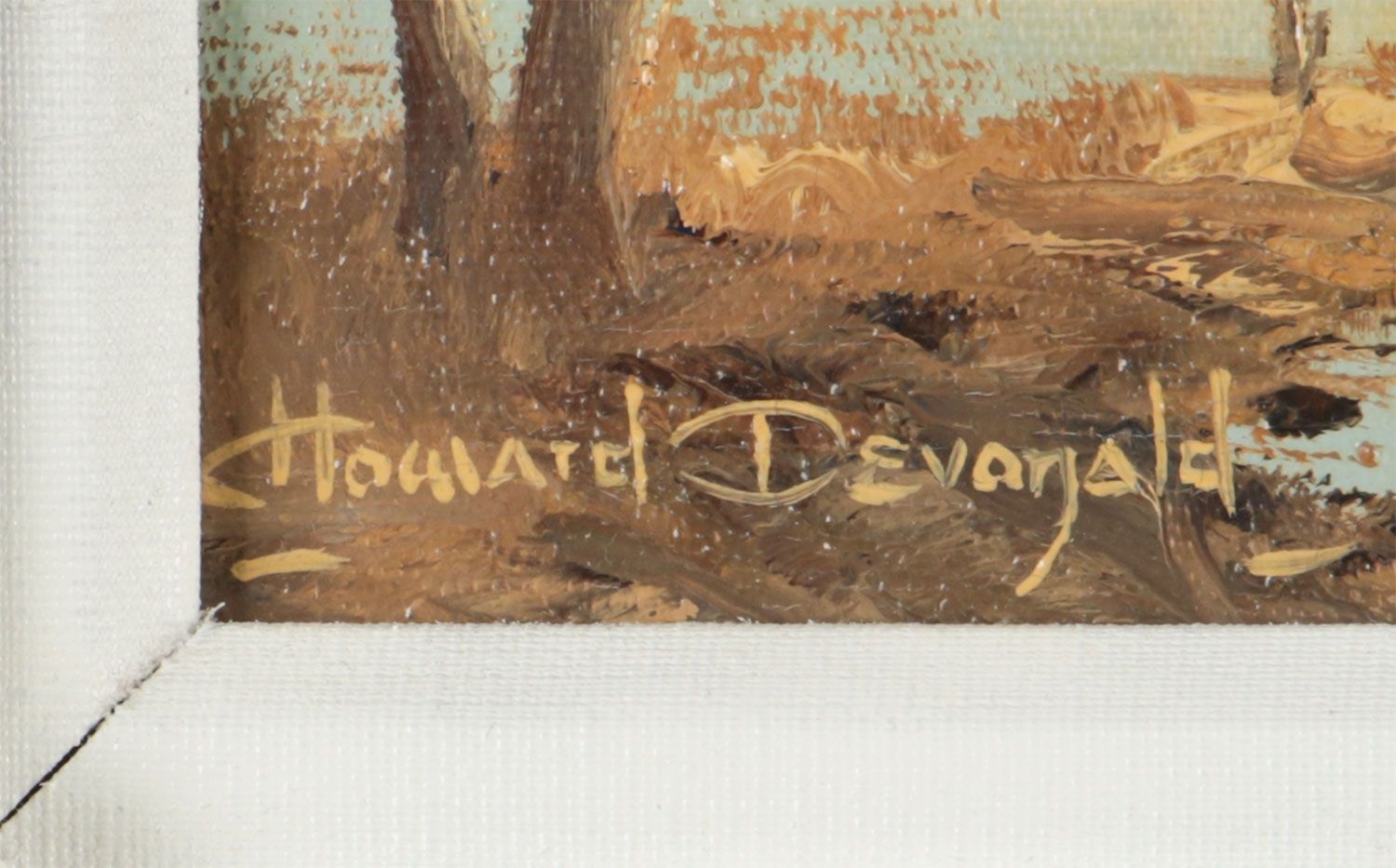 Howard Devonald | WILDLIFE | MutualArt