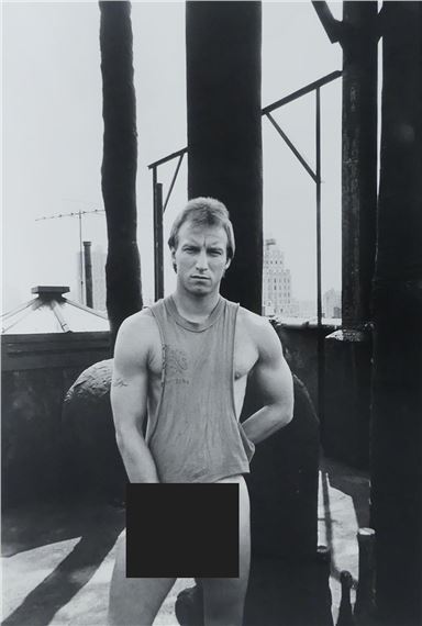 Stanley Stellar | Lutz (1981) | MutualArt