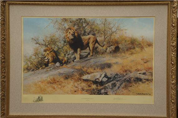 David Shepherd | David Shepherd limited edition print signed with b ...