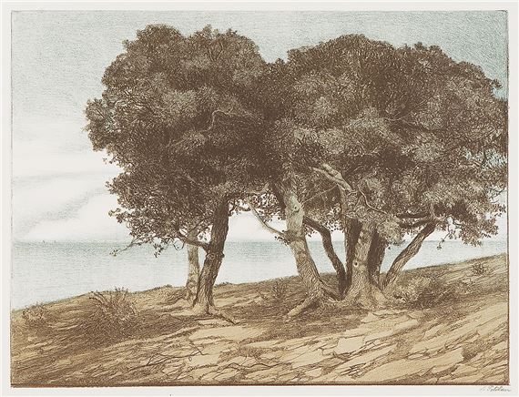 Olga Wisinger-Florian | PELIKAN (Circa 1900) | MutualArt