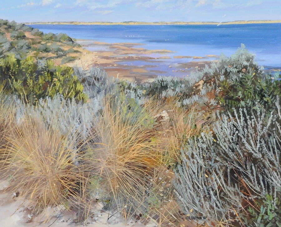 Hal Barton | The Coorong Revisited (97) | MutualArt