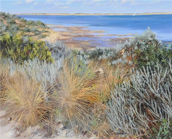Hal Barton | The Coorong Revisited (97) | MutualArt