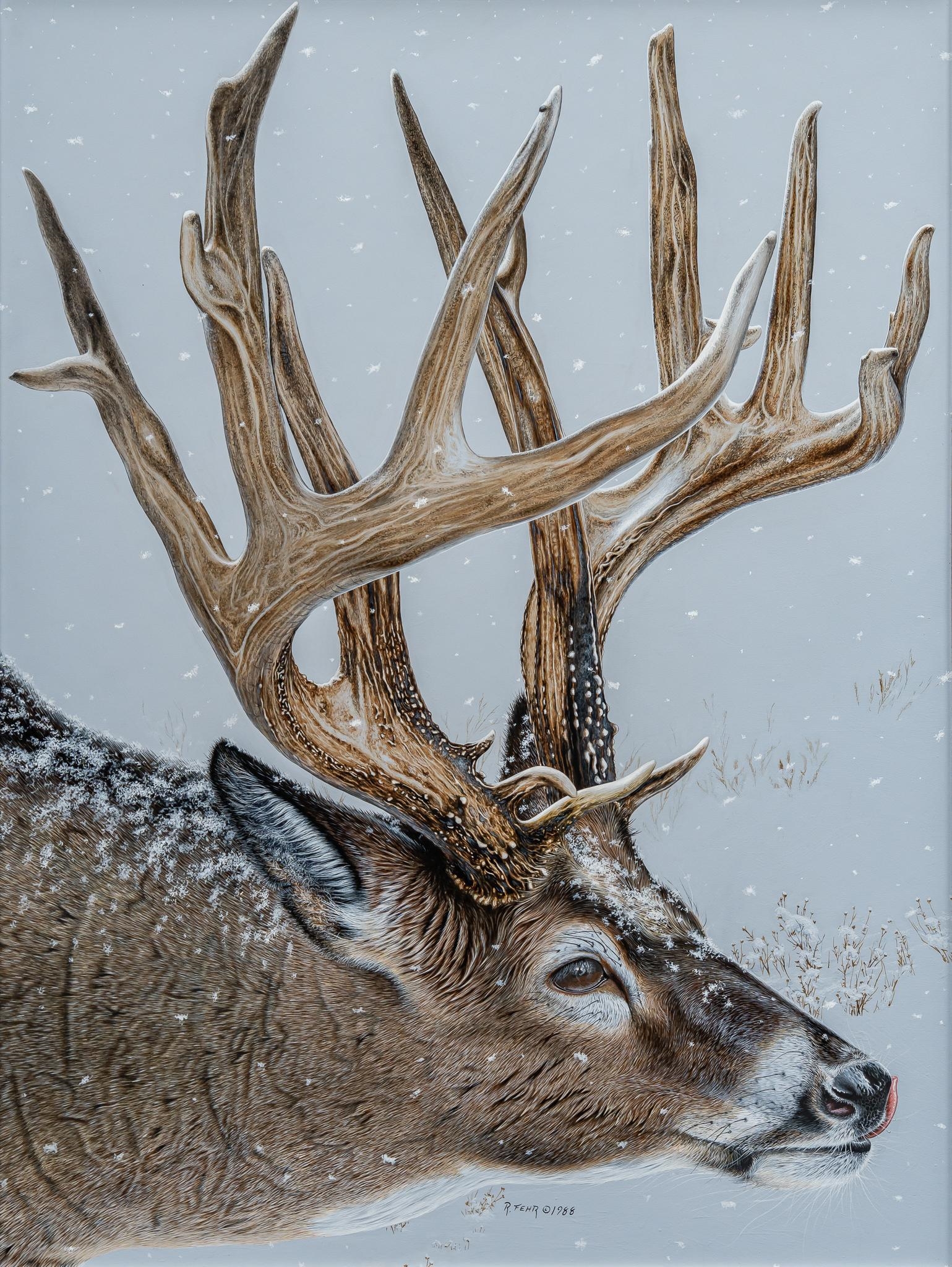 Randy Fehr | North American Whitetail (1988) | MutualArt