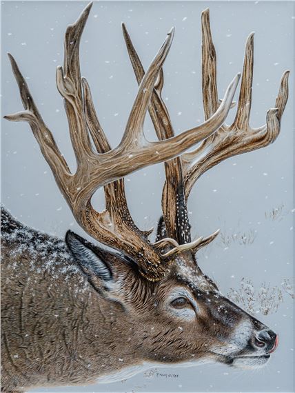 Randy Fehr | North American Whitetail (1988) | MutualArt