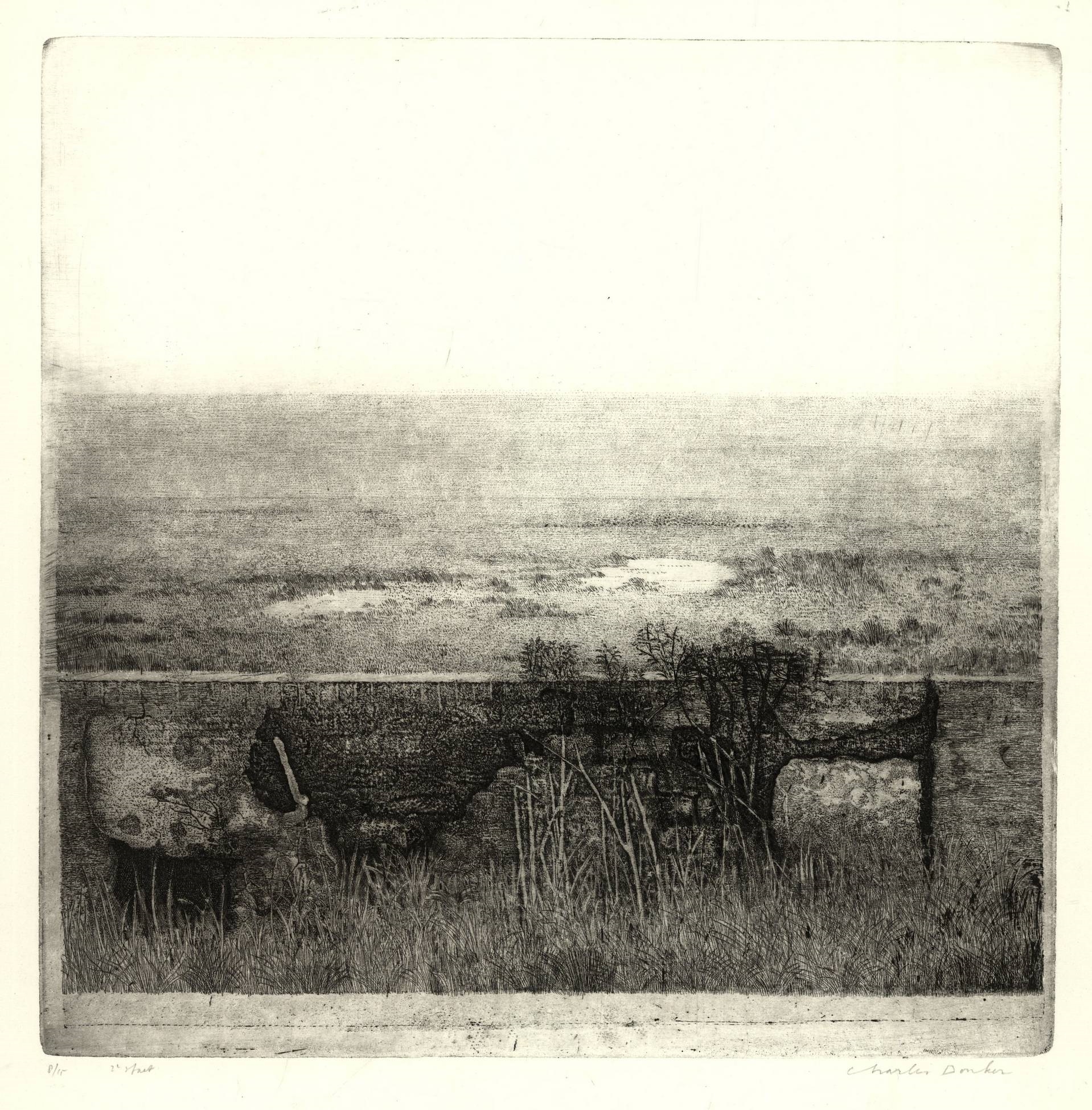 Charles Donker | Charles Donker (1972) | MutualArt