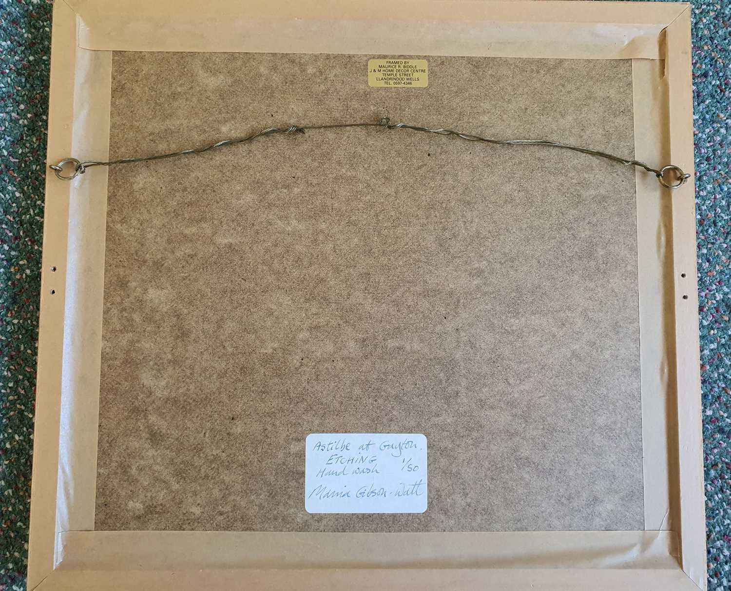 Marcia Gibson-Watt | Astilbes at Gayton | MutualArt