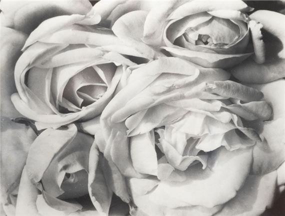 Tina Modotti | Portrait d'Anita Brenner, 1925 | MutualArt