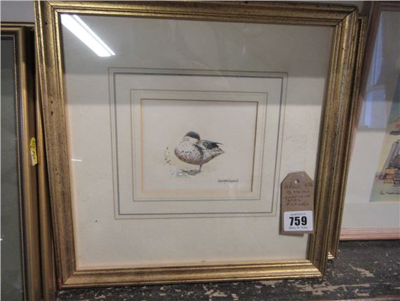 Mandy E. Shepherd | TWO MANDY SHEPHERD BIRD PICTURES | MutualArt