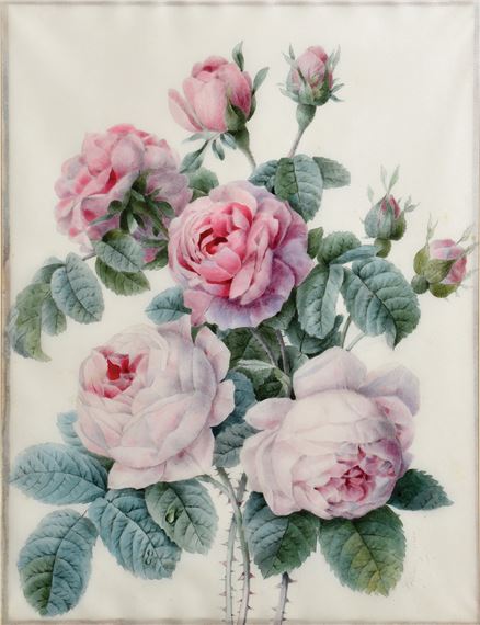 Pierre-Joseph Redouté | Bouquet of Roses (1815 - 1825) | MutualArt