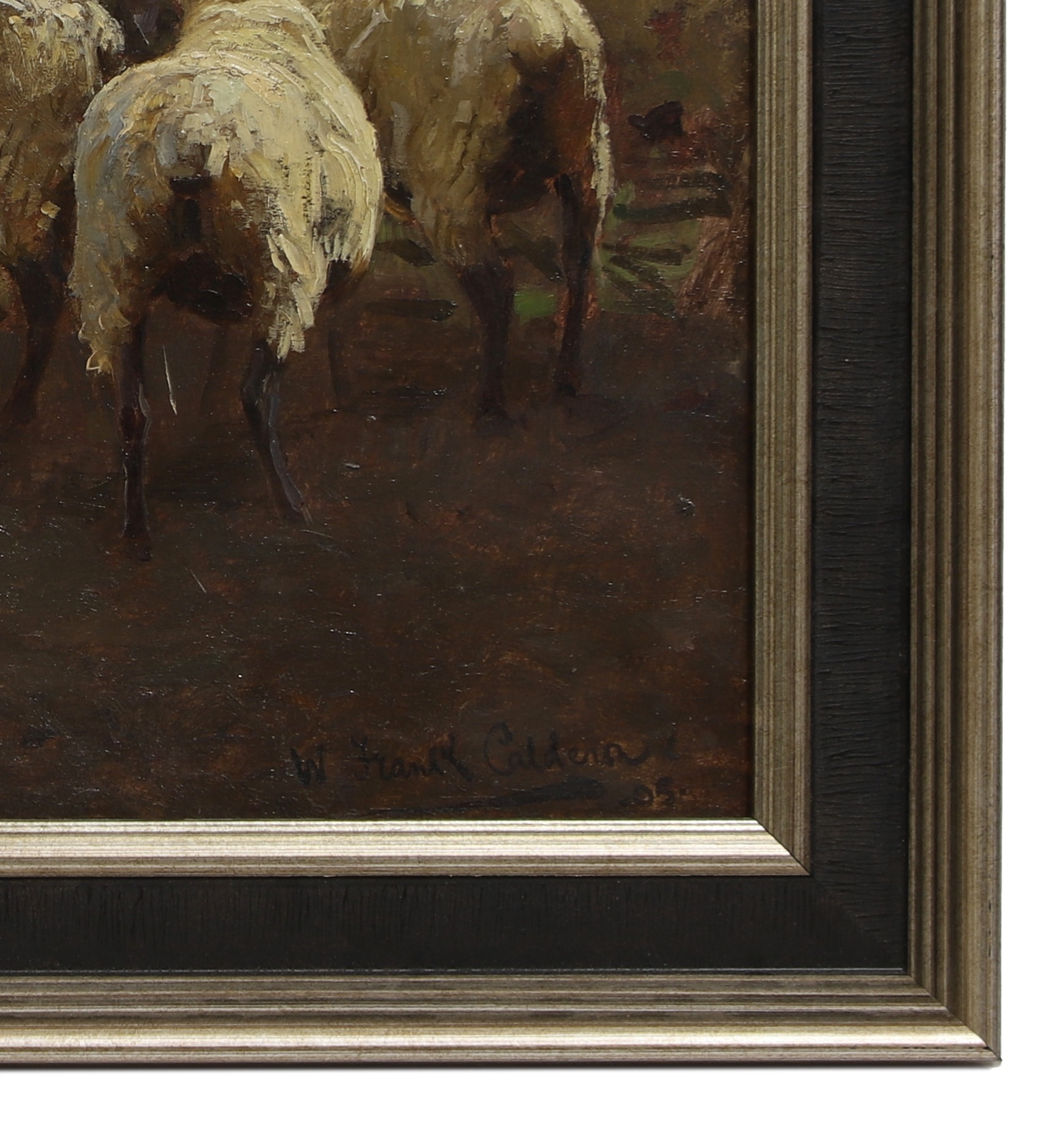 William Frank Calderon | Sheep in a pen; | MutualArt