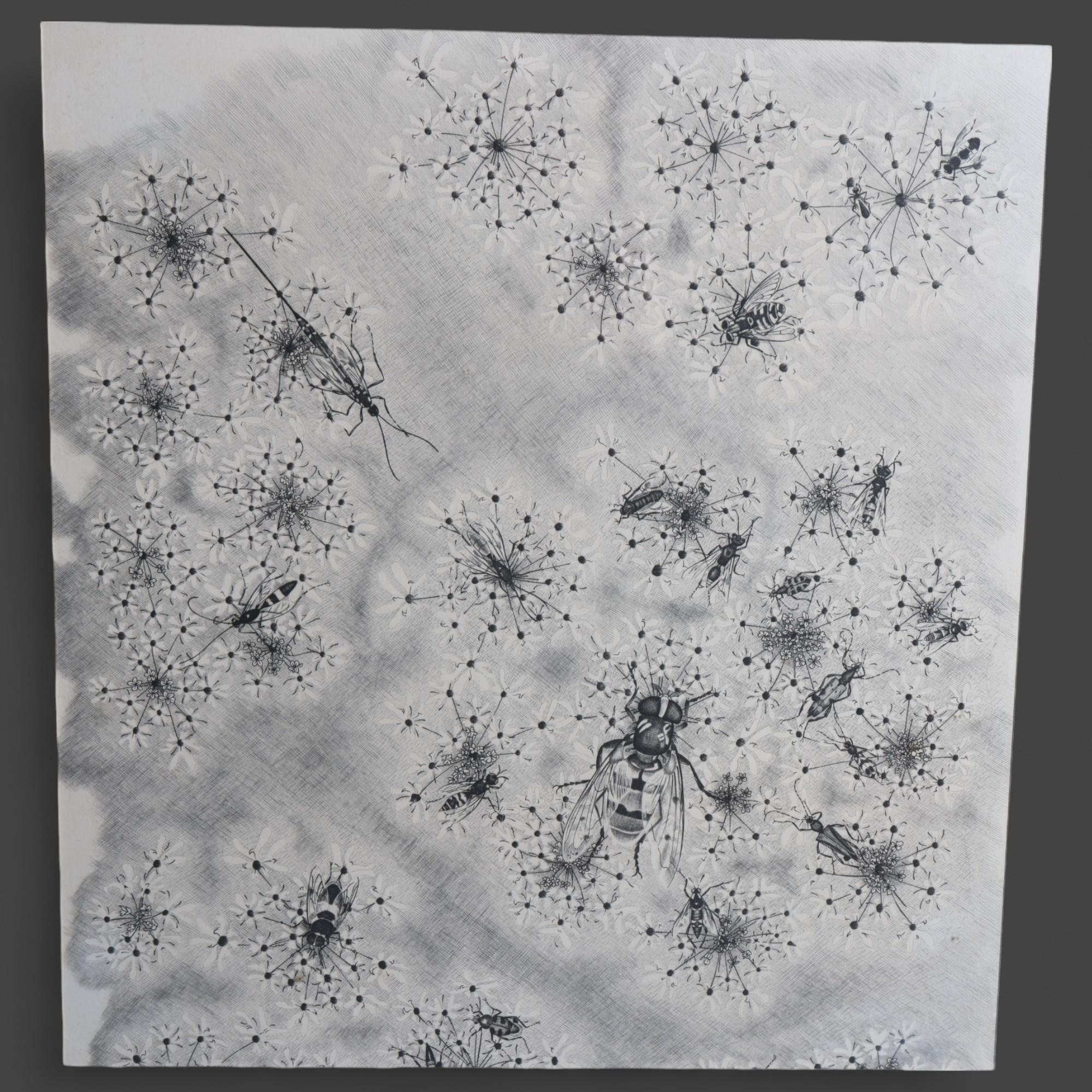 Tony Nolton | aquatic insects walking on water | MutualArt