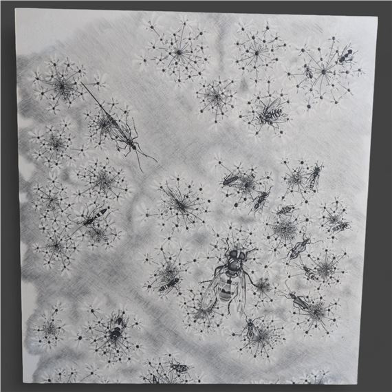 Tony Nolton | aquatic insects walking on water | MutualArt