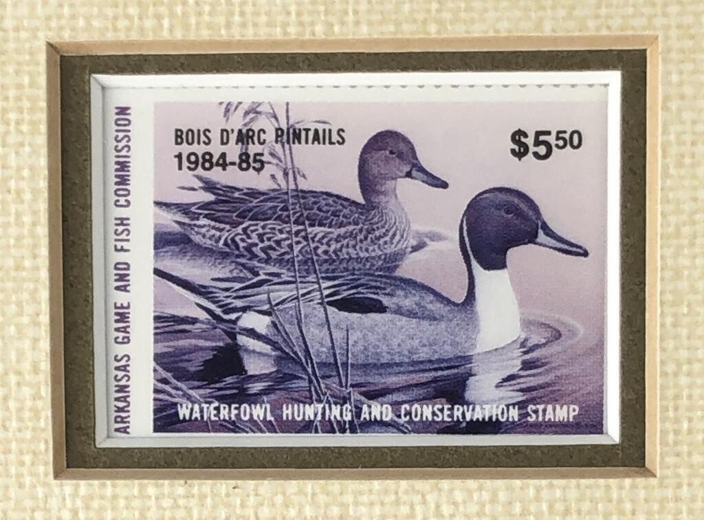 Larry Hayden | Larry Hayden Bois D'arc Pintails Duck Print | MutualArt