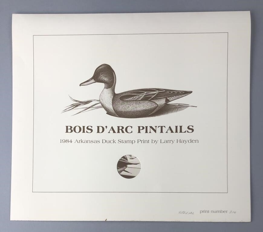 Larry Hayden | Larry Hayden Bois D'arc Pintails Duck Print | MutualArt