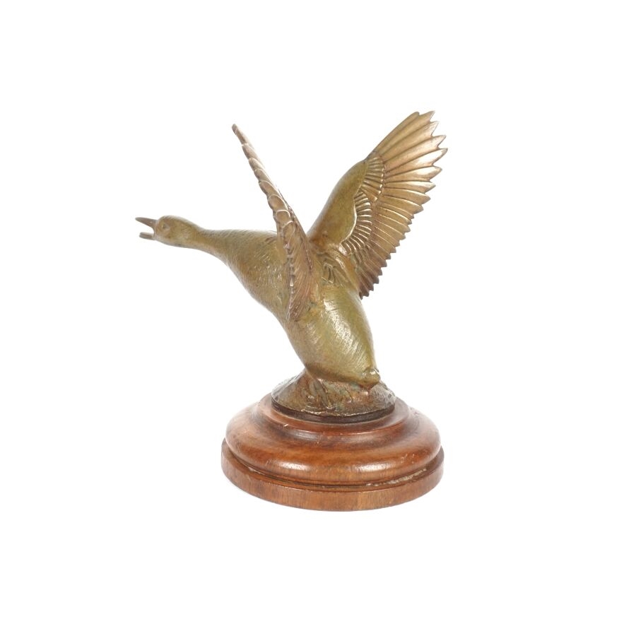 André Vincent Becquerel | Canard s'envolant | MutualArt