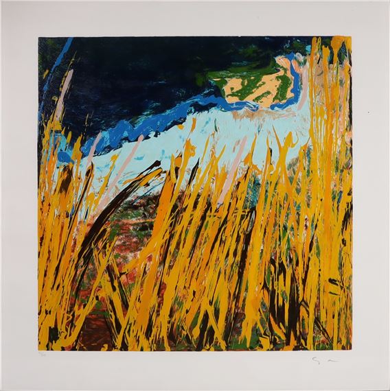 Mario Schifano | Campo da Terra | MutualArt