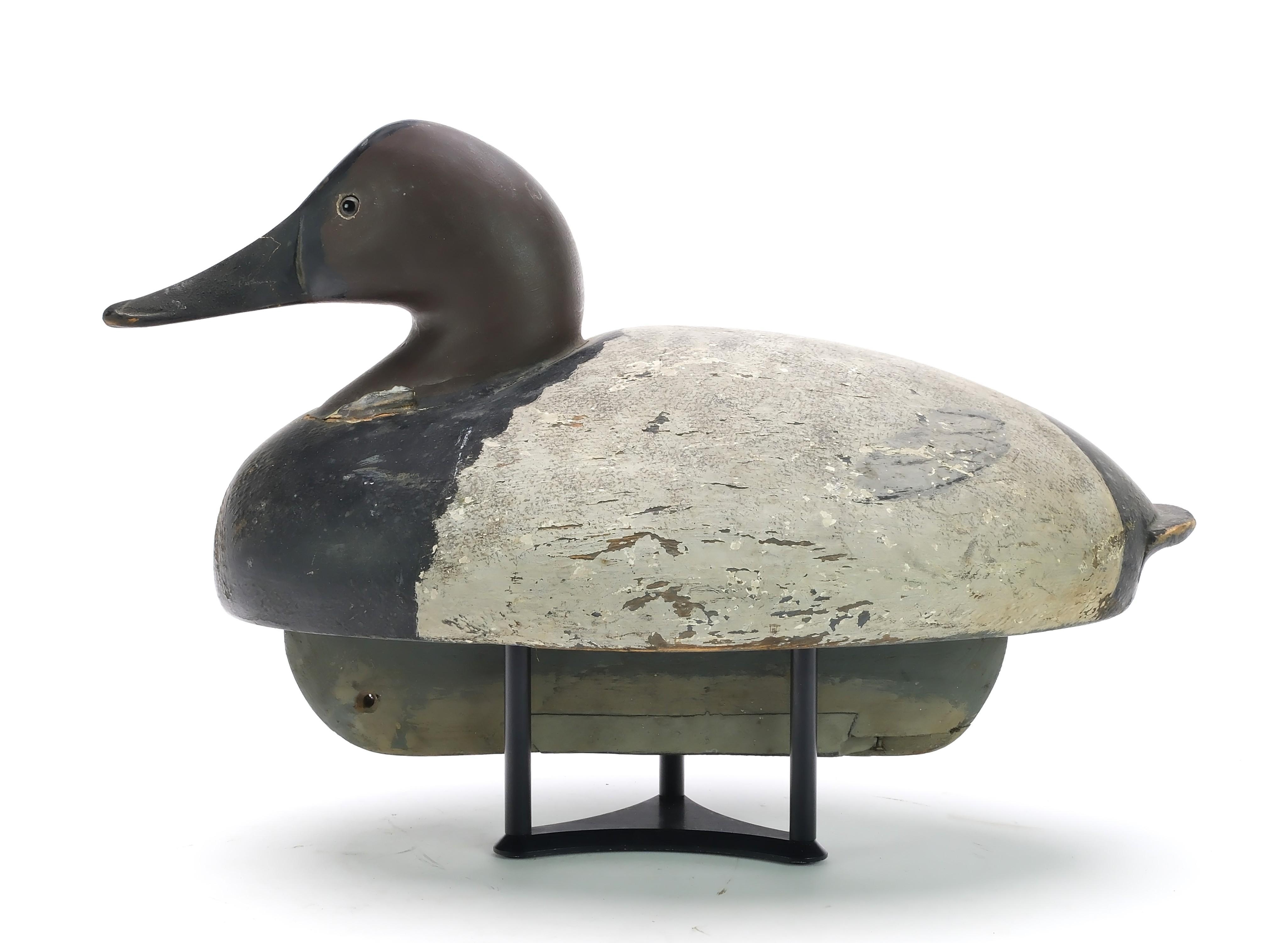 Ferdinand Bach | Canvasback drake | MutualArt