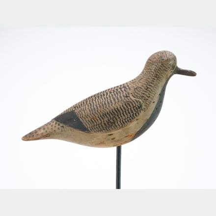 Obediah Verity | Plump black bellied plover | MutualArt