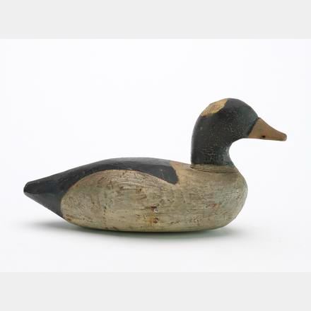 Ed Parsons | Early and desirable bufflehead drake | MutualArt