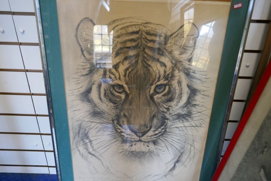 Ralph Thompson | A drawing of a female tiger. Dated Nov 1972 by Ralph ...