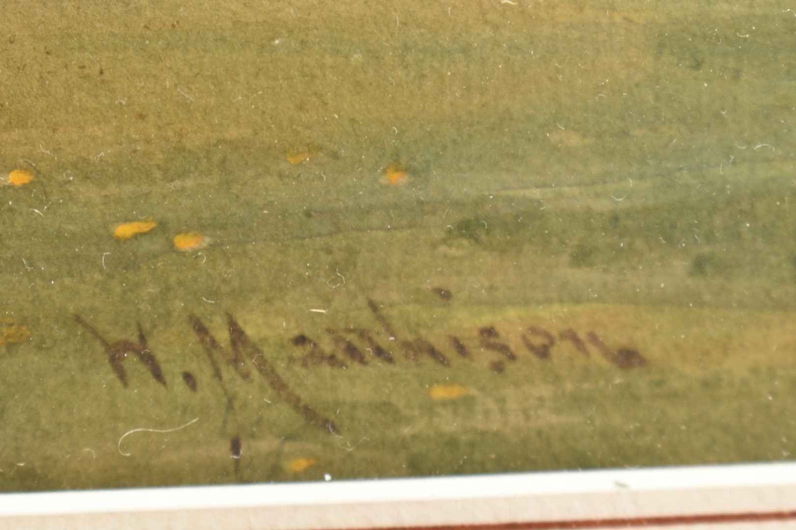 William Matthison | New Collage from the Gardens | MutualArt