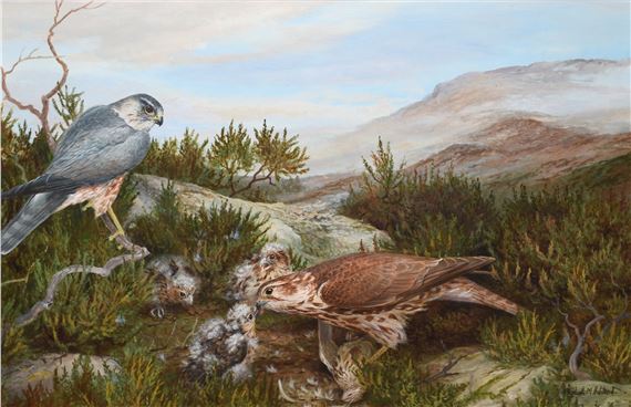 Elizabeth Halstead | Moorland Landscape with a Merlin Pair feeding ...