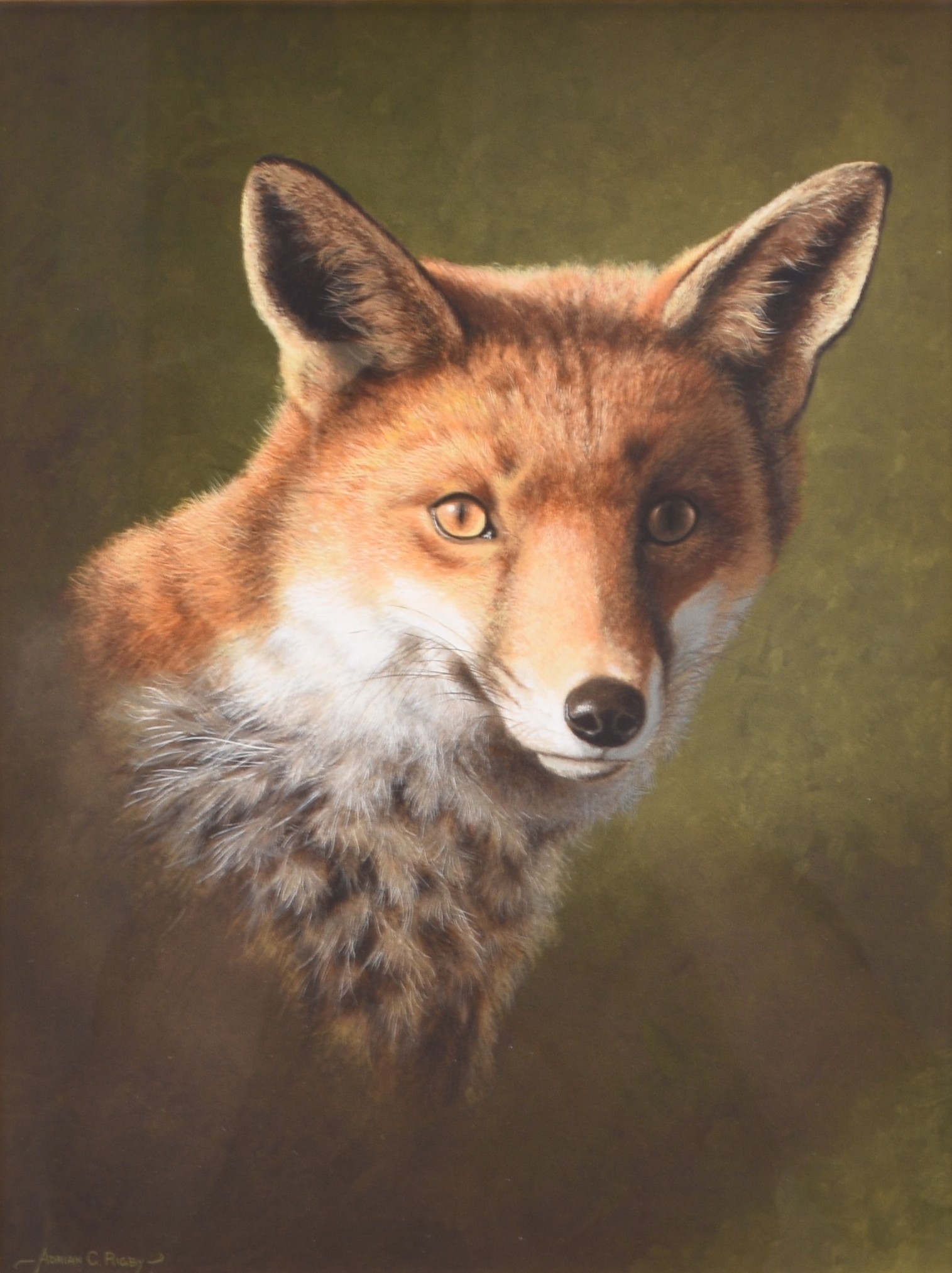 Adrian Rigby | Adrian Rigby (b.1962) The Ever Watchful Fox | MutualArt