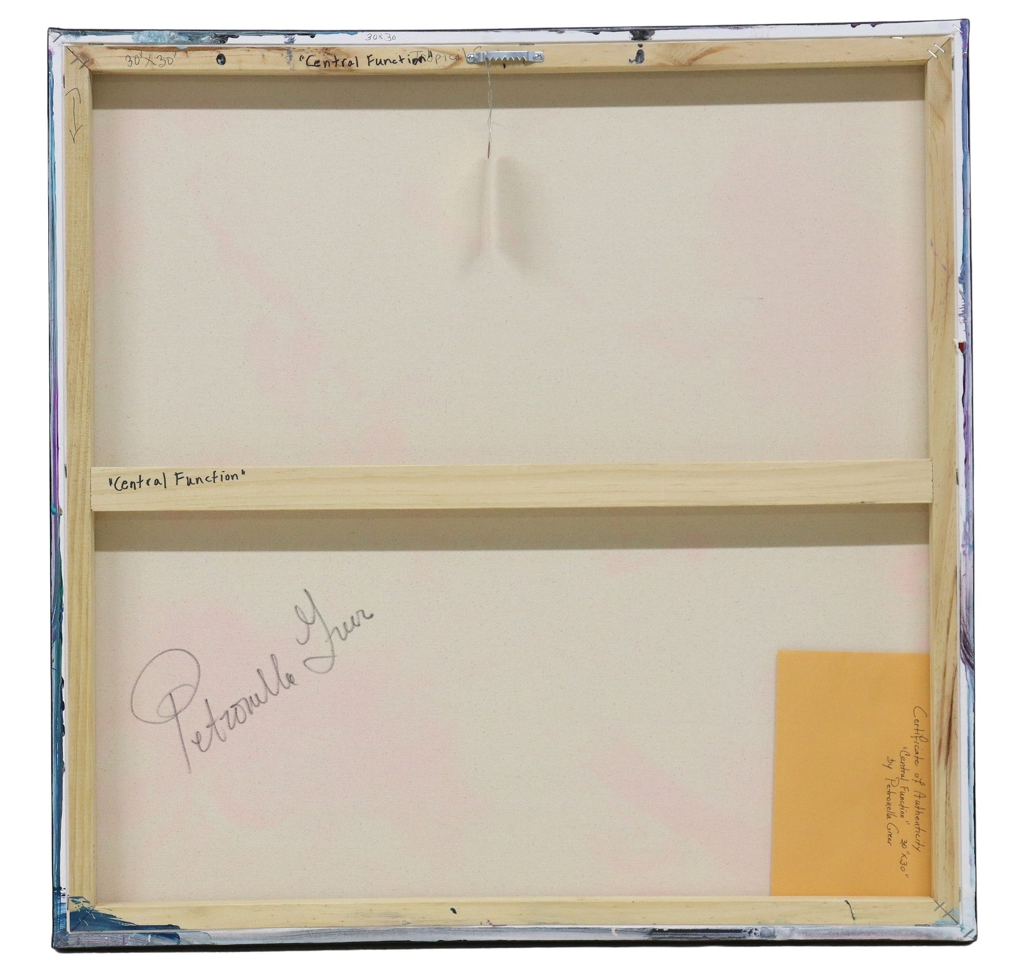 Petronella Greer | Central Function | MutualArt