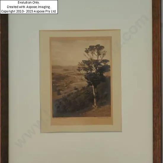 George Chance | Otago Harbour | MutualArt