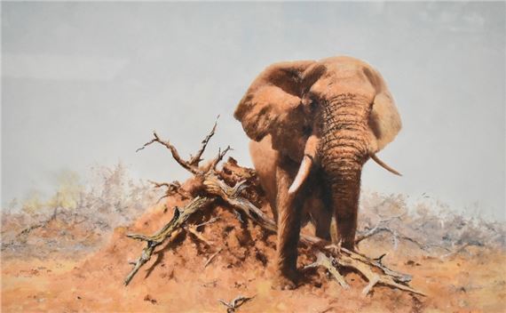 David Shepherd | Richard Sefton After David Shepherd CBE, FRSA, FGRA ...