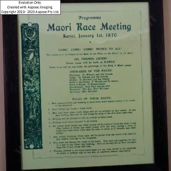 Unknown | Maori Race Meeting 1870 | MutualArt