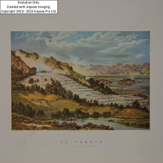 Charles Decimus Barraud | Te Tarata (White Terraces) Rotomahana (1875 ...
