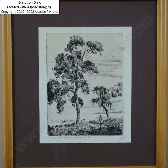 Walter Ronald Locke | Elm Tree | MutualArt