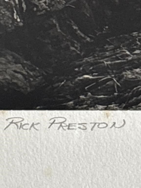 Rick Preston | Rick Preston coastal gelatin photograph | MutualArt