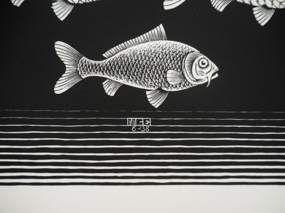 Maurits Cornelis Escher | MC ESCHER - Between Sky and Water (2008 ...