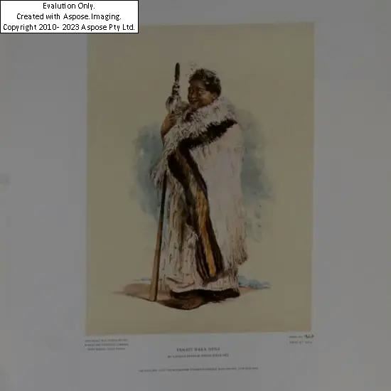 George French Angas | Tamati Waka Nene | MutualArt