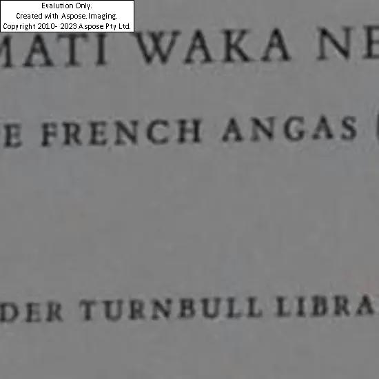 George French Angas | Tamati Waka Nene | MutualArt