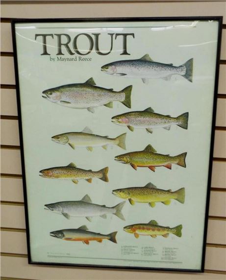 Maynard Reece | Trout Poster by Maynard Reece | MutualArt