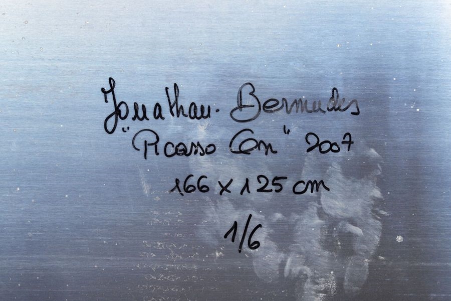 Jonathan Bermudes | Picasso con 2007 (2007) | MutualArt