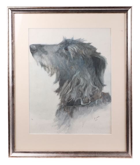 Joanna Saunt | Finn - study of a Wolfhound Lurcher | MutualArt