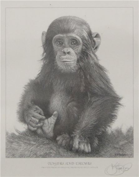 Kevin Hayler | Fingers and Thumbs | MutualArt