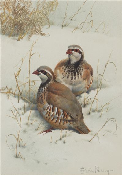 Edwin Penny | French partridges in the snow | MutualArt