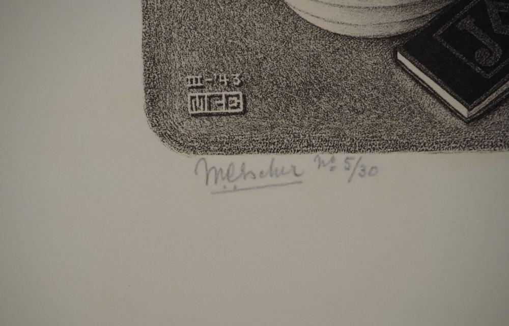 Maurits Cornelis Escher | MC ESCHER - Still life with reptiles (2008 ...