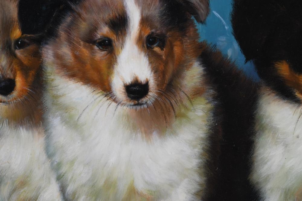 Laura E. Cassidy | FOUR BORDER COLLIE PUPS ON A SOFA | MutualArt