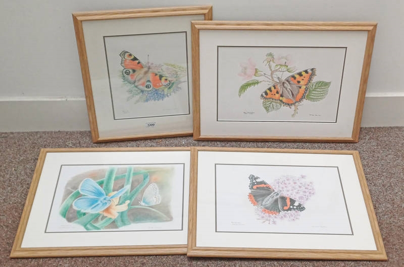 Ian Lowe | 4 framed colour pencil drawings of butterfly species | MutualArt