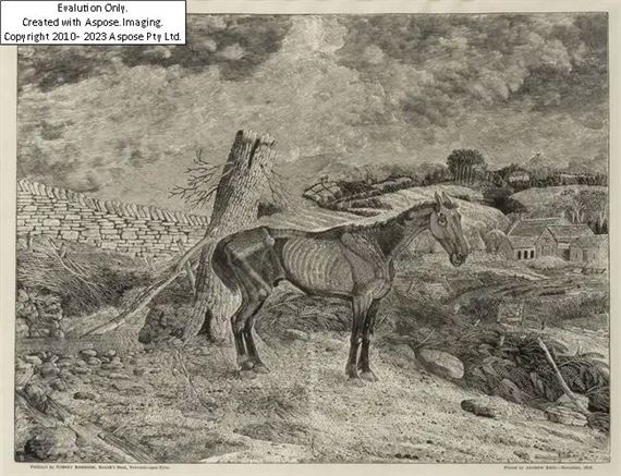 Thomas Bewick | Waiting for death; (1876) | MutualArt