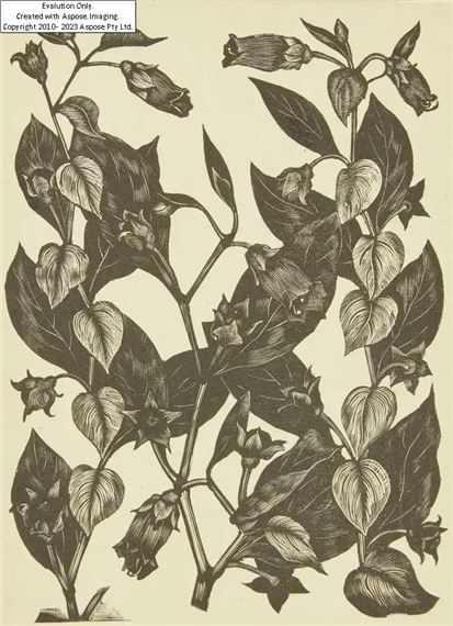 Frederick Etchells | British 1893-1977 (1927) | MutualArt