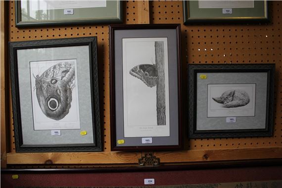 Gary Hodges | After Gary Hodges Fennec Fox signed in pencil 742 | MutualArt